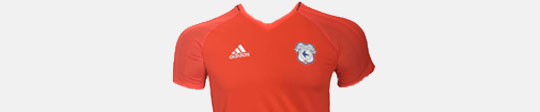 Home - Cardiff City FC Store